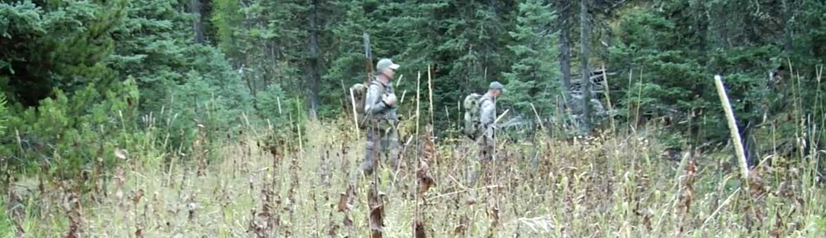 How to Hunt Elk Every Year - Randy Newberg | Rocky Mountain Elk Foundation