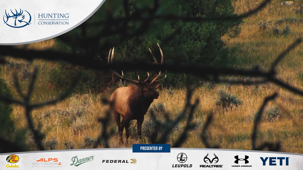 Hunting Is Conservation - Countering the Argument: Hunters are ...