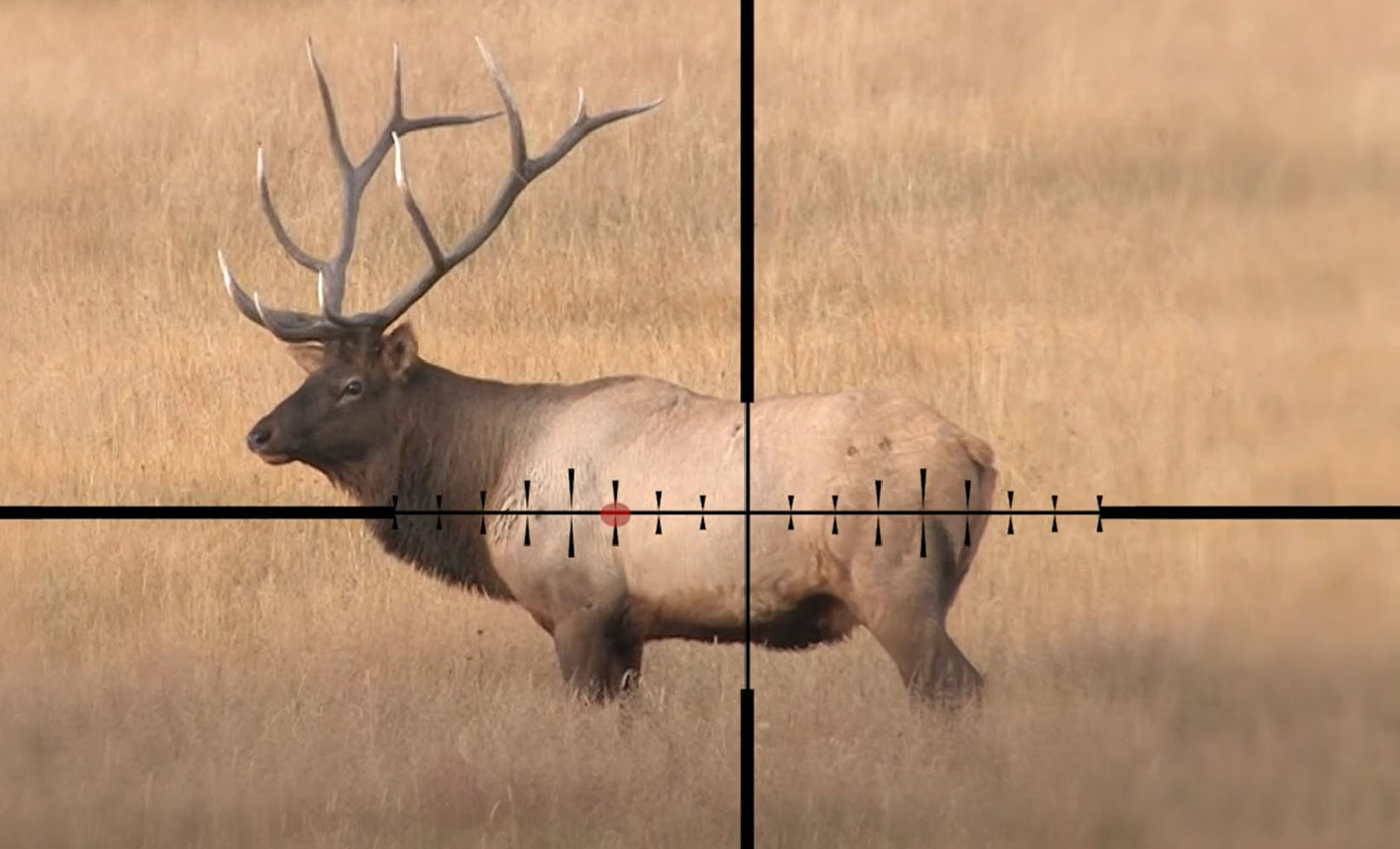 Huskemaw: Simplifying Distance & Wind Maximizes Your Effective Range ...