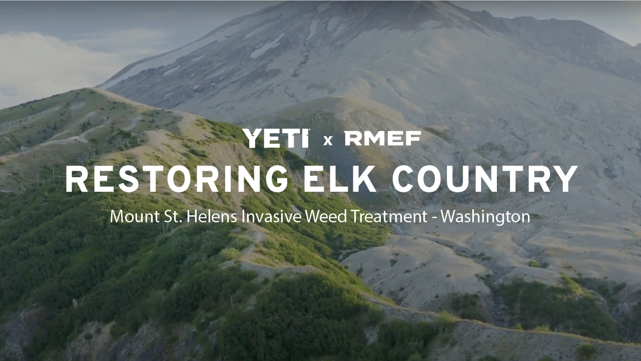 Mount St. Helens Invasive Weed Treatment – Washington | RMEF Media ...