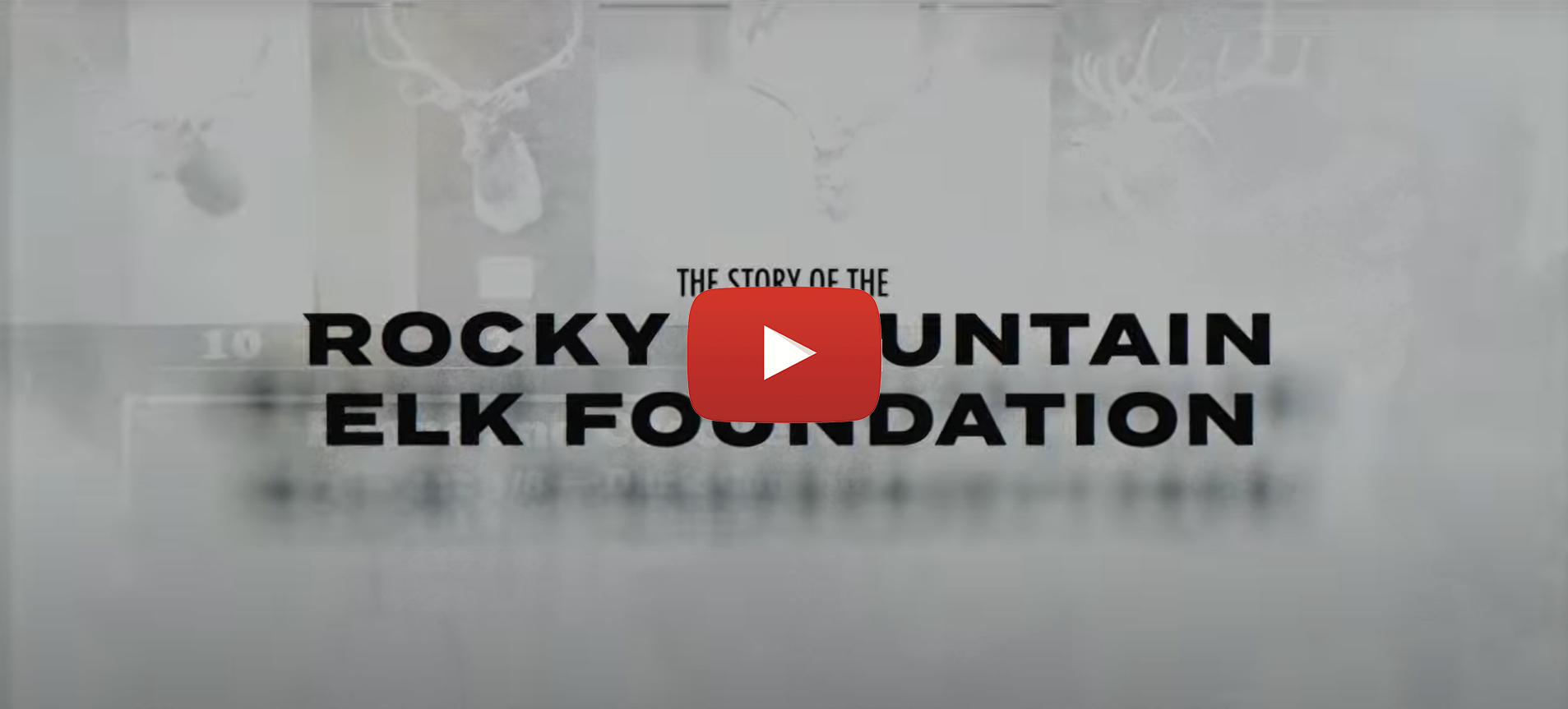 RMEF Celebrates Four Decades of Conservation | Rocky Mountain Elk ...