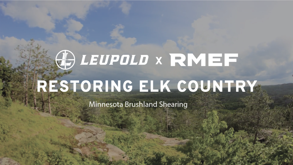 Restoring Elk Country - Minnesota Brushland Shearing | Rocky Mountain ...
