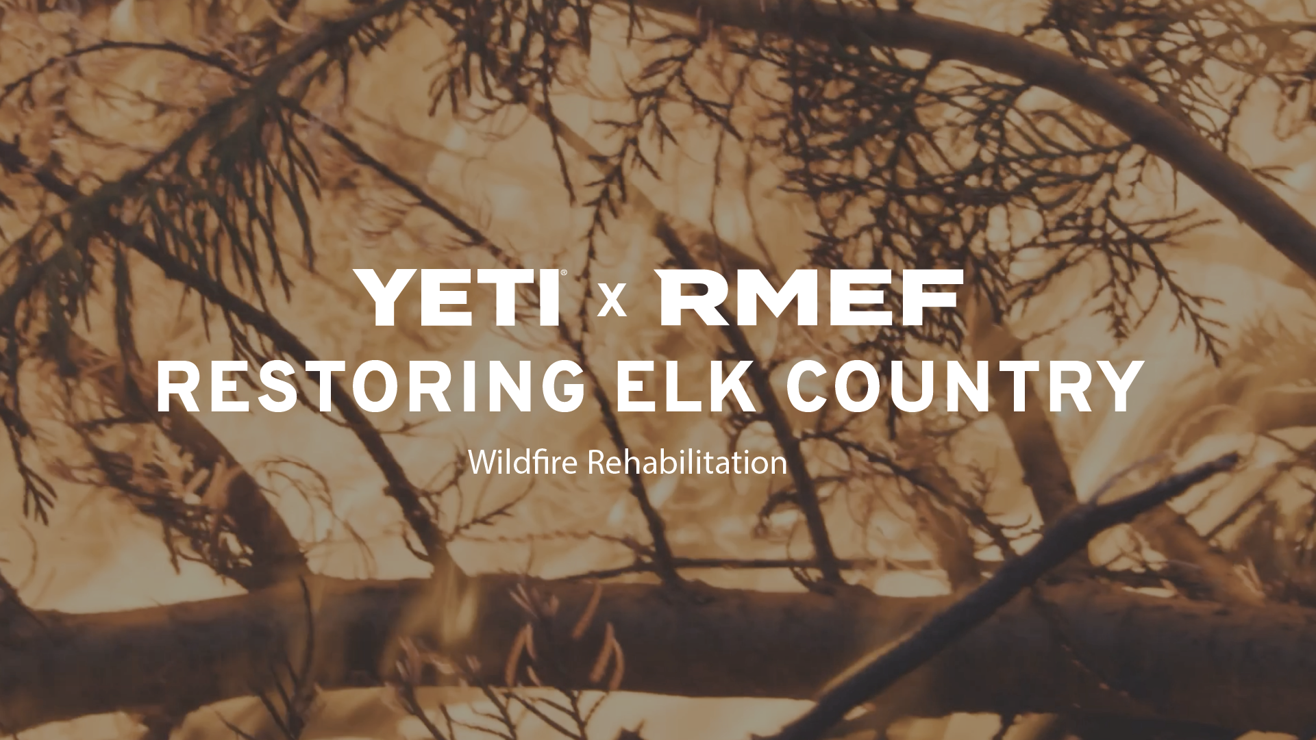 Restoring Elk Country - Wildfire Rehabilitation | RMEF Media | Rocky ...