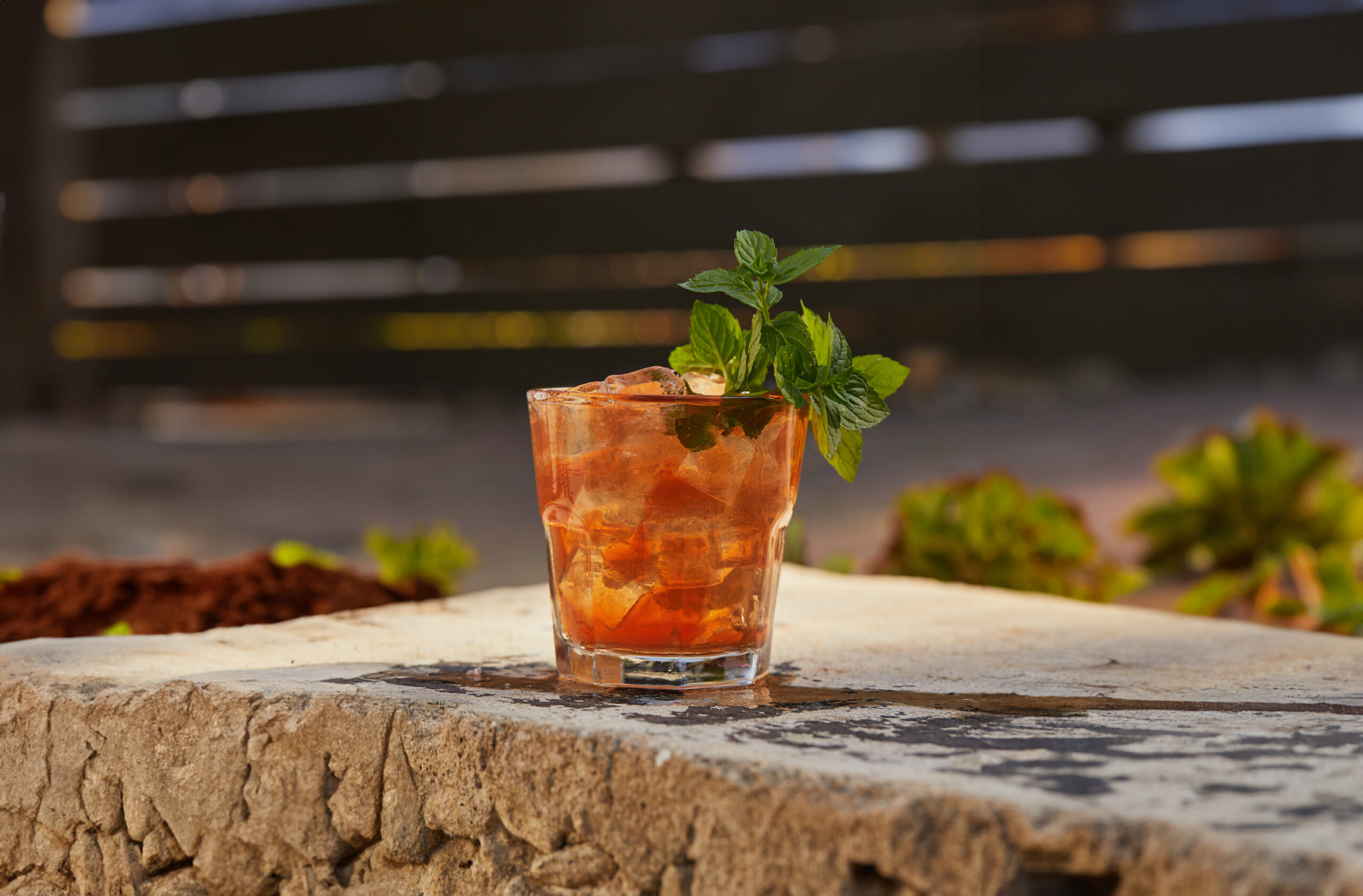 Rodeo Julep - A Featured Pendleton Cocktail | RMEF Media | Rocky ...