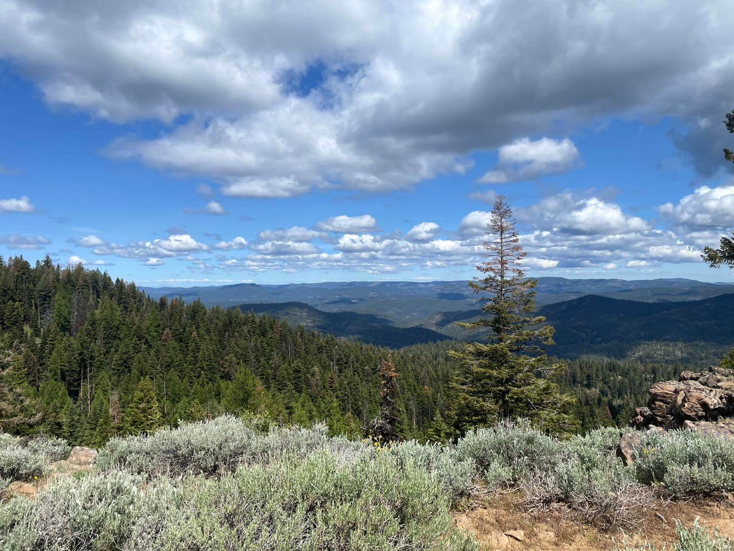 RMEF Volunteers ‘Part of Something Bigger’ in Collaborative Oregon Habitat Project | RMEF Media ...